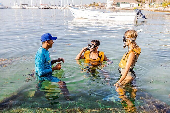 With Turtles, Shipwreck, Cenote, and Reef and Transport Included - An In-Depth Look at the Tour Experience
