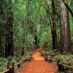 Women Only 5 day California Vineyards, Waves and Wine Tour - Pricing and Value