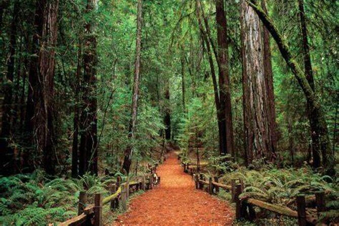 Women Only 5 day California Vineyards, Waves and Wine Tour - Pricing and Value