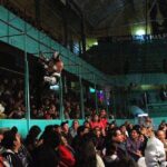 Wrestling in Puebla (Monday only) - Authentic Experiences That Bring Puebla to Life