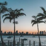 Wynwood Art Walk Self-Guided Tour of Murals & Creativity - The Itinerary: What to Expect