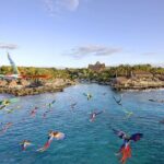 Xcaret Park Day Tour & Night Show with Transportation - Considering the Reviews: Expectations vs. Reality