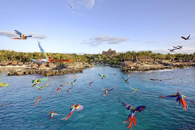 Xcaret Park Day Tour & Night Show with Transportation - Considering the Reviews: Expectations vs. Reality