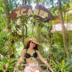 Xcaret Plus Discover History, Culture With Buffet from Cancun - Summary and Who It’s Best For