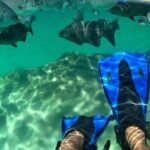 Xel-ha All Inclusive Tour - The Sum Up