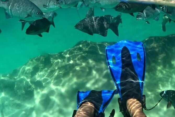 Xel-ha All Inclusive Tour - The Sum Up