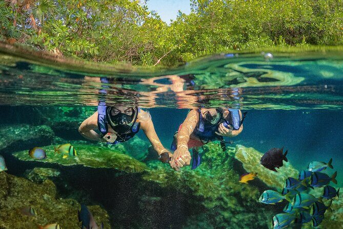 Xel-Ha Park Admission Tickets - Real Travelers’ Insights