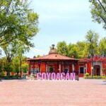 Xochimilco and Coyoacan and Frida Kahlo Museum optional - Final Thoughts: Who Will Love This Tour?