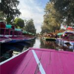 Xochimilco and Garibaldi: Tradition and Music - Value and Practical Insights
