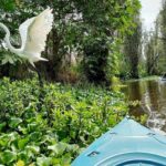 Xochimilco Canals by Kayak - Access and Equipment