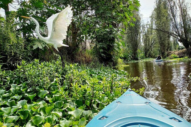 Xochimilco Canals by Kayak - Access and Equipment