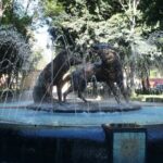 Xochimilco, Coyoacan and Frida Kahlo Museum Tour - Practical Considerations