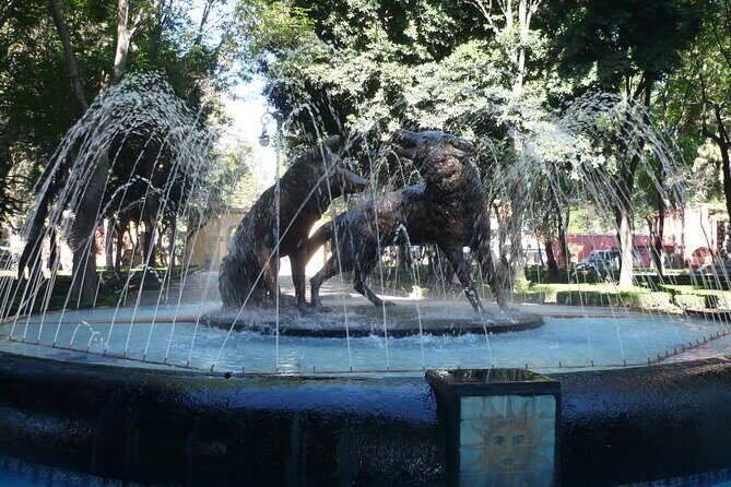 Xochimilco, Coyoacan and Frida Kahlo Museum Tour - Practical Considerations
