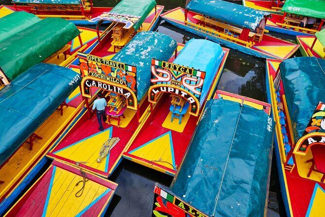 Xochimilco & Coyoacán Private Tour - Authentic Experiences with Knowledgeable Guides