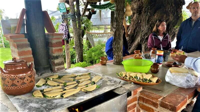 Xochimilco Day Trip: Farmland Food and Hop on a Trajinera - Detailed Itinerary Breakdown