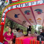 Xochimilco: Eco Tour With Food - The Itinerary in Detail