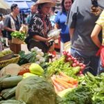 Xochimilco: Market, Food and Nature ¡All included! Tour - Analyzing the Value