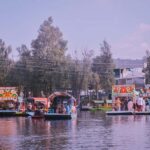 Xochimilco: Party on a trajinera with food, drinks, and music - Who Should Book This Tour?