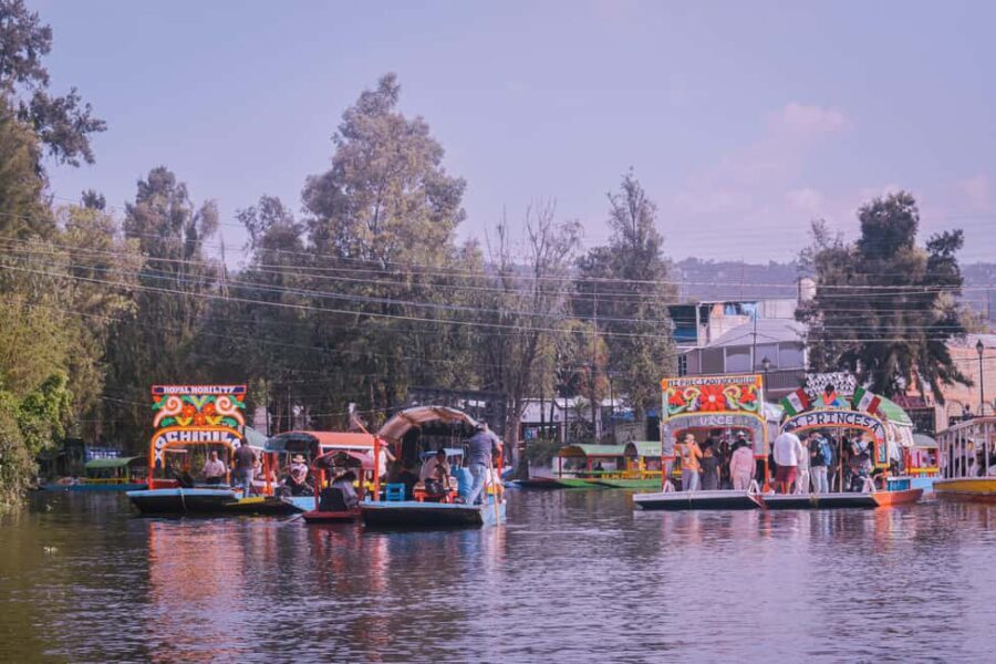 Xochimilco: Party on a trajinera with food, drinks, and music - Who Should Book This Tour?