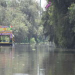 Xochimilco Serene: A Calm Cultural Escape from the Crowds - Why This Tour is Special