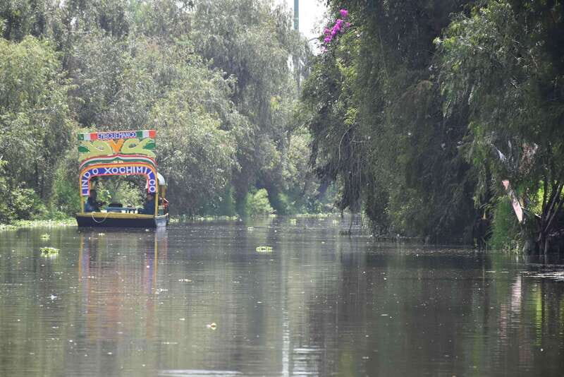 Xochimilco Serene: A Calm Cultural Escape from the Crowds - Why This Tour is Special