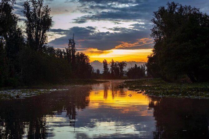 Xochimilco Sunrise from Mexico - The Sum Up