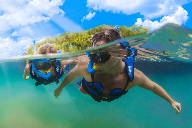 YAL-KÚ Park in Riviera Maya Admission Ticket - Booking and Pricing