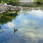 Yalku :Akumal snorkeling Muuch Kay Ecopark - What to Expect on the Tour