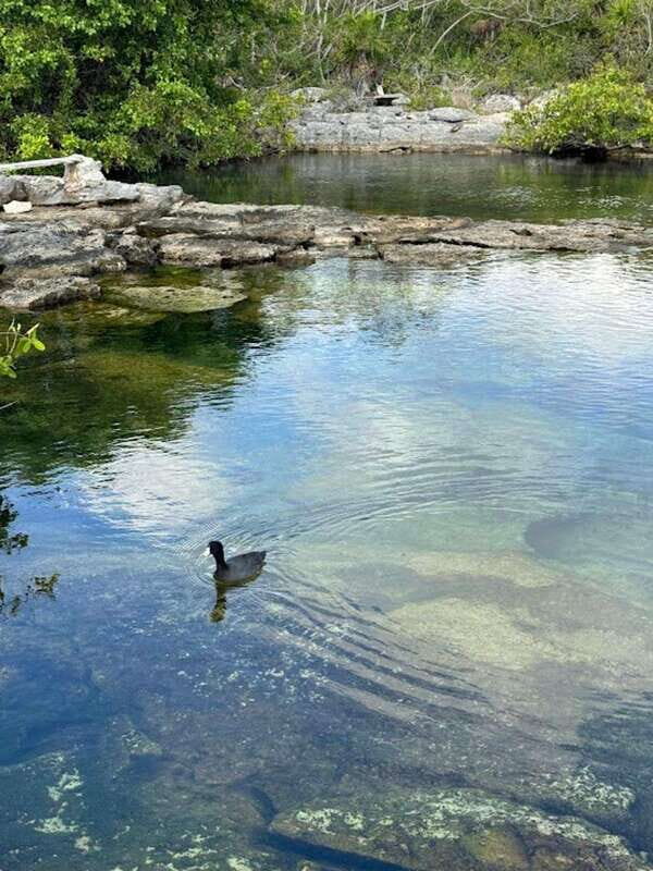 Yalku :Akumal snorkeling Muuch Kay Ecopark - What to Expect on the Tour