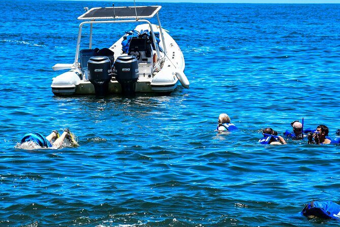 Yelapa Adventure and Snorkeling Escape in Puerto Vallarta - What Past Reviewers Say
