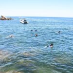 Yelapa Escape & Snorkeling in Puerto Vallarta by Speedboat - Practical Tips for Travelers
