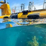 Yellow Semi-Submarine Tour of Catalina Island From Avalon - What Makes This Tour Stand Out?