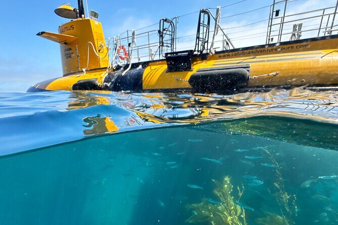 Yellow Semi-Submarine Tour of Catalina Island From Avalon - What Makes This Tour Stand Out?