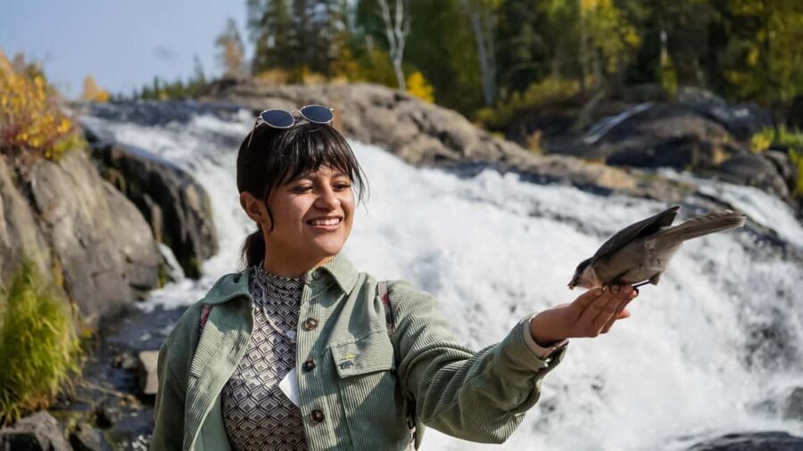 Yellowknife: Cameron Falls Nature Hiking Tour - Practical Details and Comfort