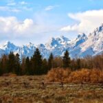 Yellowstone Full Day Tours - Final Takeaways