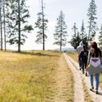 Yellowstone & Grand Tetons: 4-Day/3-Night Wildlife Adventure - Why This Tour Offers Great Value