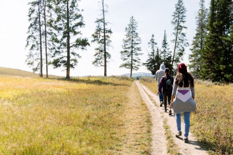 Yellowstone & Grand Tetons: 4-Day/3-Night Wildlife Adventure - Why This Tour Offers Great Value