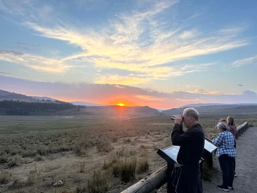 Yellowstone Lamar Valley & Picnic Lunch With Wildlife Guide - The Sum Up: Who Should Consider This Tour?