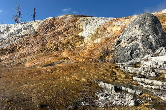 Yellowstone Park Private Day Trip from Big Sky - Full or Half Day - FAQ