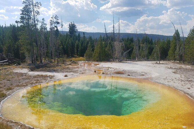 Yellowstone's Upper Geyser Basin: A Self-Guided Audio Tour - The Sum Up: Who Should Take This Tour?