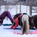 Yoga with Horses - Why This Tour is a Great Choice