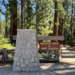 Yosemite National Park & Sequoias Private Tour from San Francisco - Who is This Tour Best For?