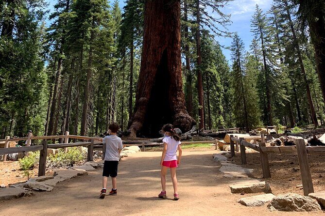 Yosemite Private Tour from San Francisco - Who Would Love This Tour?