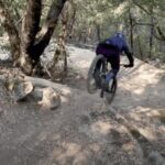 Yosemite Valley Area: Standard Bike Rental - Why Choose the Yosemite Valley Bike Rental?
