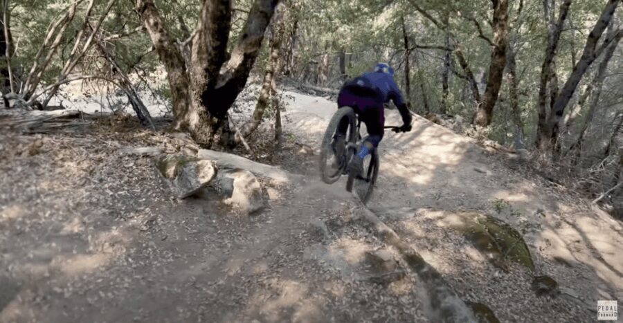 Yosemite Valley Area: Standard Bike Rental - Why Choose the Yosemite Valley Bike Rental?