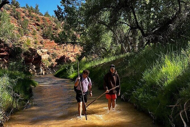 YOU DRIVE!! 4 Hr East Zion Guided UTV Tour - Authentic Experiences and Real Feedback