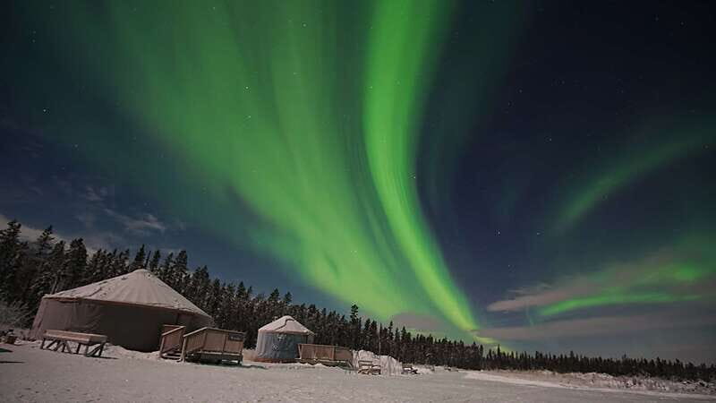 Yukon: Aurora Borealis Late Night Viewing Tour - What the Tour Includes and What to Consider