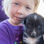 Yukon Dogs and Gold - Who Should Consider This Tour?