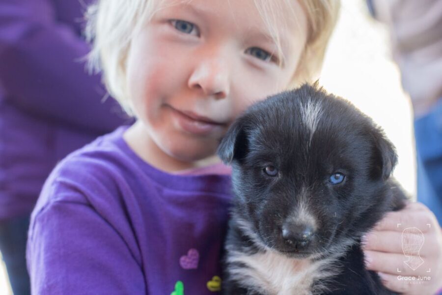 Yukon Dogs and Gold - Who Should Consider This Tour?
