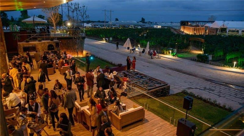 Zacatecas: Campo Real Vinícola Tour - The Sum Up